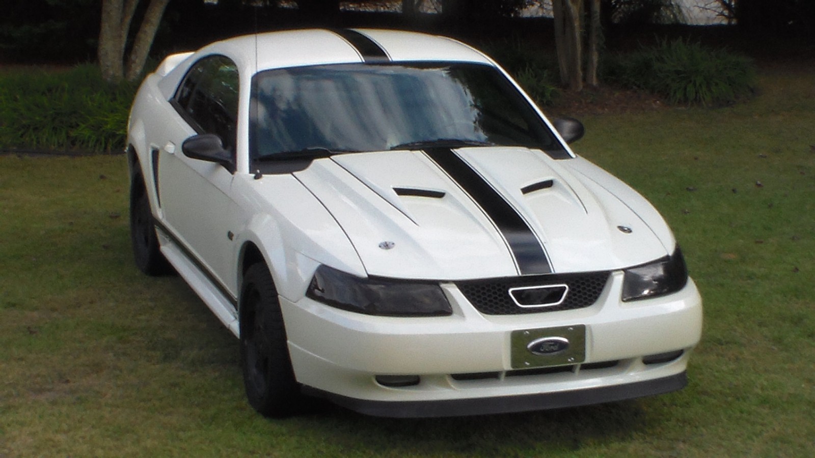 1994-2004 FORD MUSTANG FRONT BUMPER COVER REPLACEMENT HARDWARE $ SN95 ...