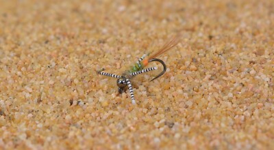 6 Flies - Tungsten Newbury's Dirty Hipster Jig Head Fly - Euro nymph ...