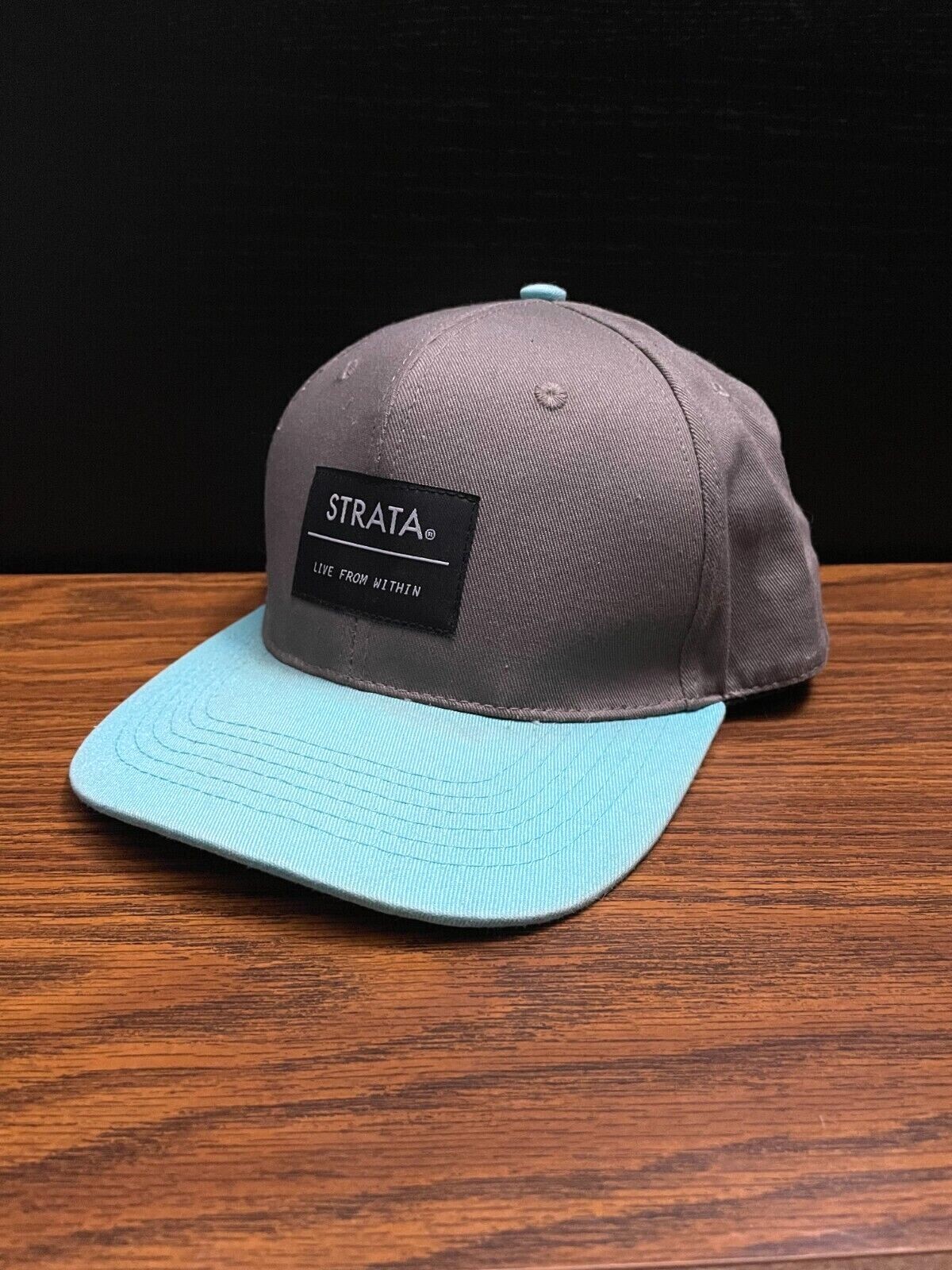 Strata Live From Within Snapback Hat Cap Grey/Blue Outdoor Hat | eBay