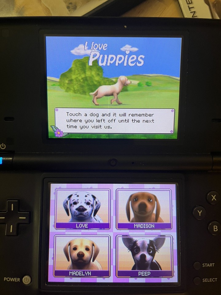 I Love Puppies (Nintendo DS, 2010) 828068213183| eBay