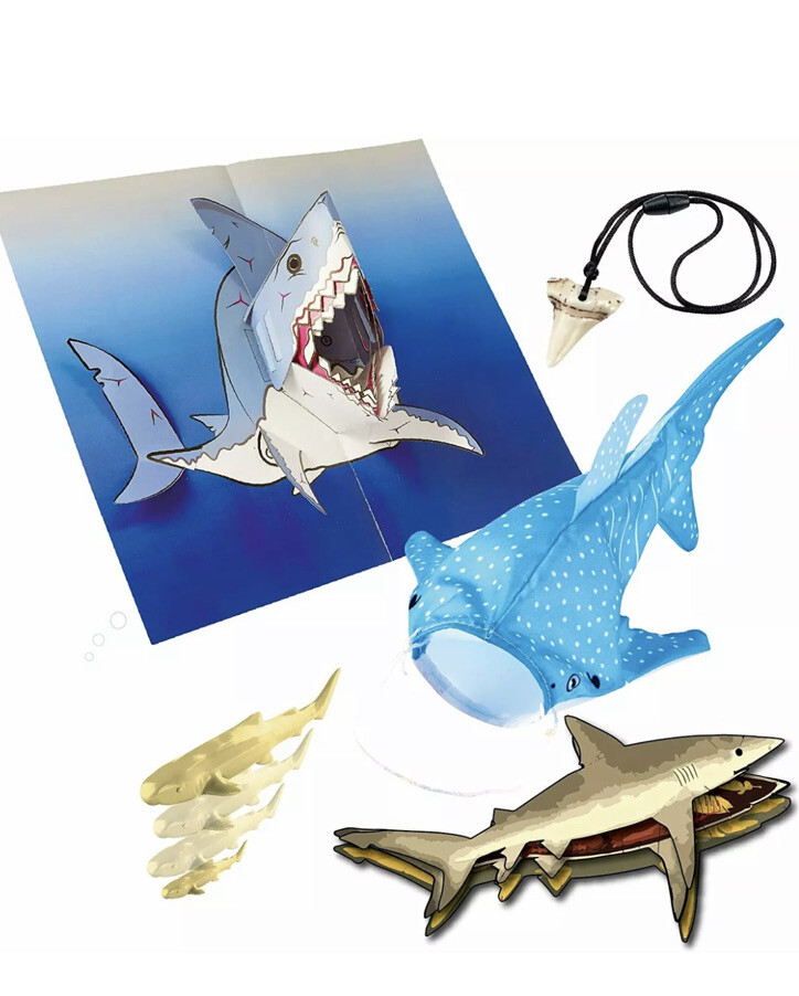 Sharkology Scientific Explorer Activity Kit Become Shark Toys Learning ...