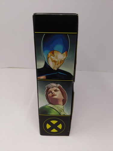 Hasbro Marvel Legends Series Marvel Rogue And Destiny X-men Comics 5.9 ...