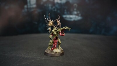 Poxbringer Herald of Nurgle painted Warhammer 40k AoS Chaos Daemons ...