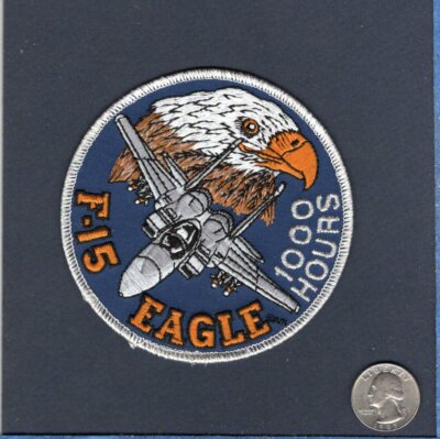 F-15 F-15E EAGLE 1000 FLIGHT HOURS USAF ANG FS TFS Fighter Squadron ...