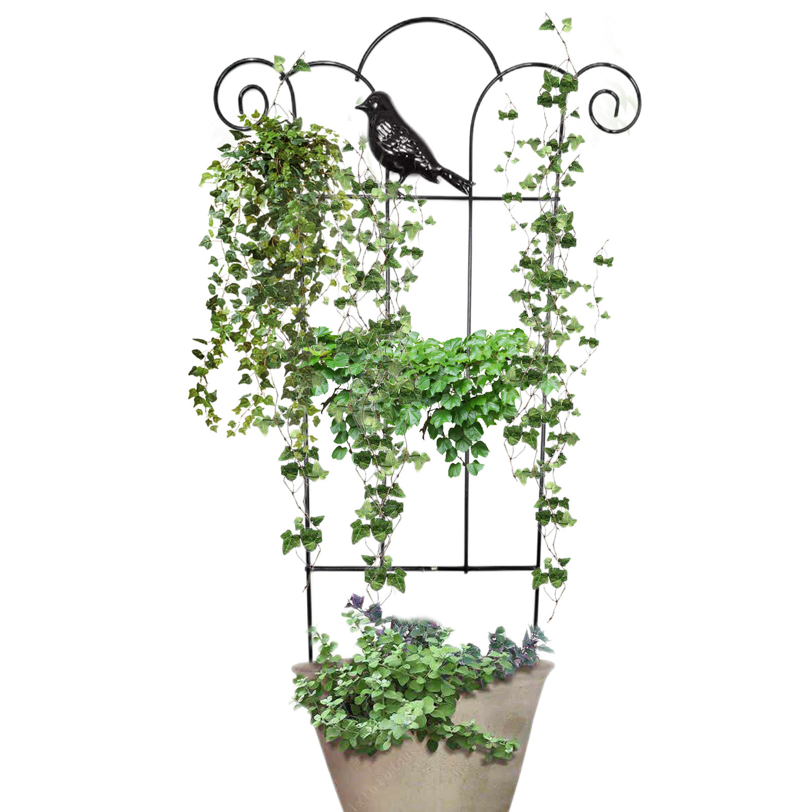 Metal Plant Climbing Trellis Flower Plant Growing Support Frame for ...