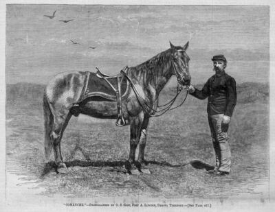 HORSE COMANCHE SADDLE REINS HARNESS FORT LINCOLN DAKOTA TERRITORY 1878 ...