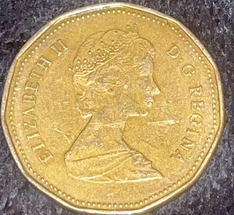Three Rare 1988 Canadian Loonie 1 dollar coins | eBay