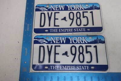 NEW YORK LICENSE PLATE PAIR 2001-2010 SKYLINE NIAGRA FALLS EMPIRE STATE ...