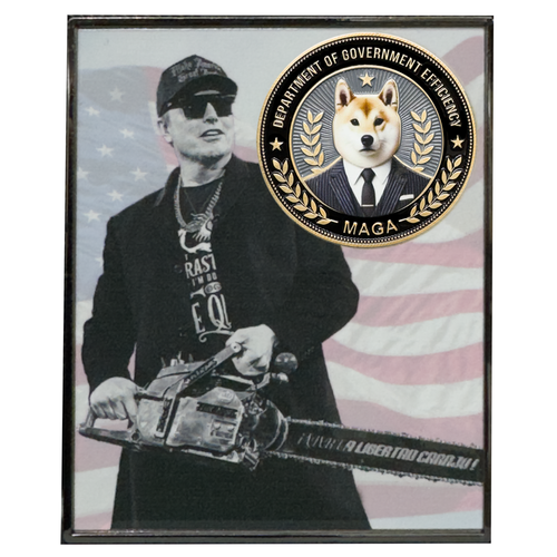 EL17-8 MAGA Elon Musk Challenge Coin for DOGE Department of Government ...