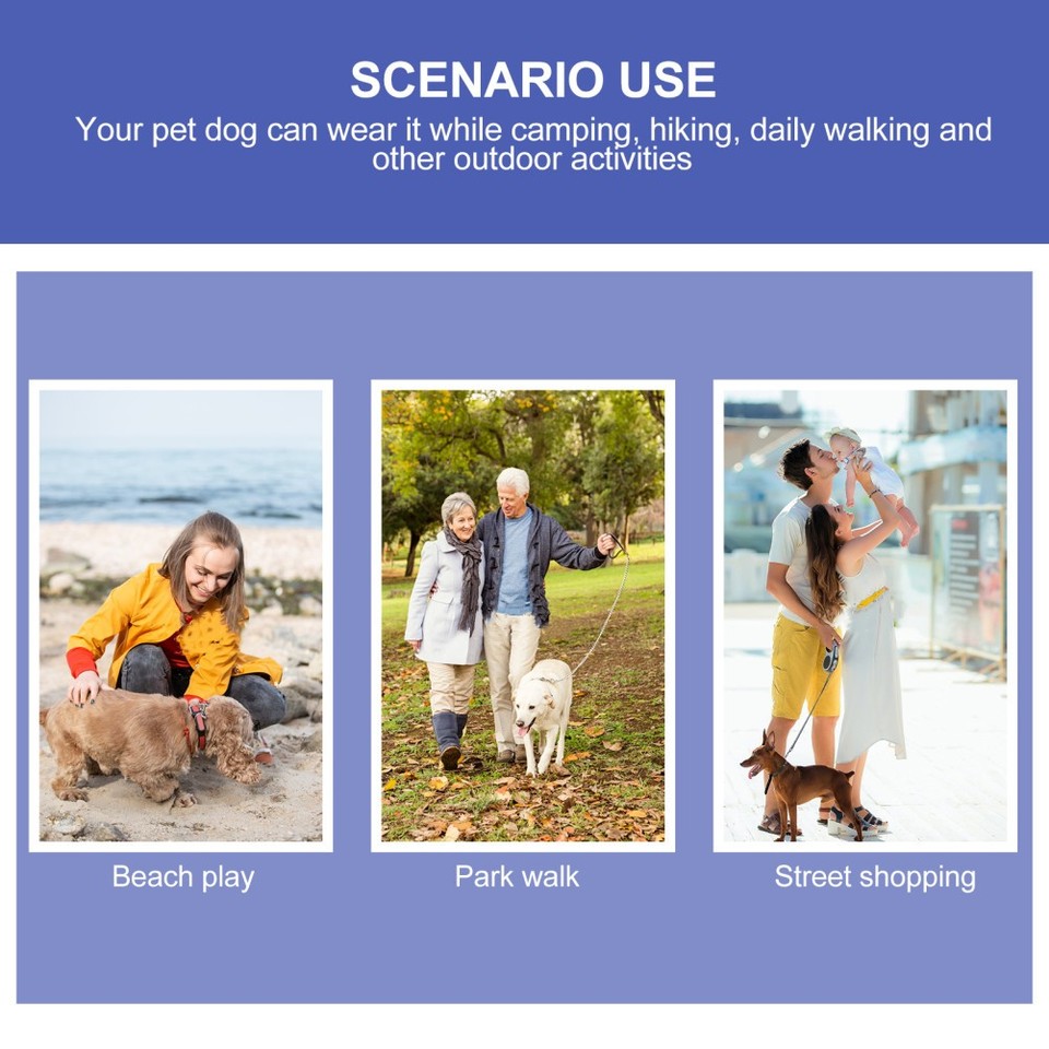 3pcs Dog Bite Train Toy Flying Plate Toy Wear-resistant Throwing Disc ...