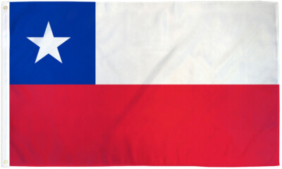 Chile Flag 2x3ft House Flag Chilean Flag | eBay