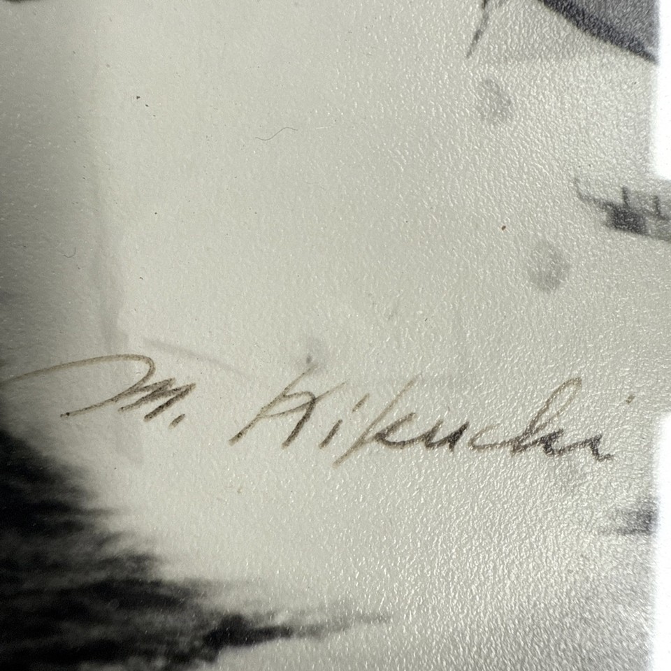 DDG-163 JDS Amatsukaze Destroyer Original Photo And Hanging Plate 16x12 ...