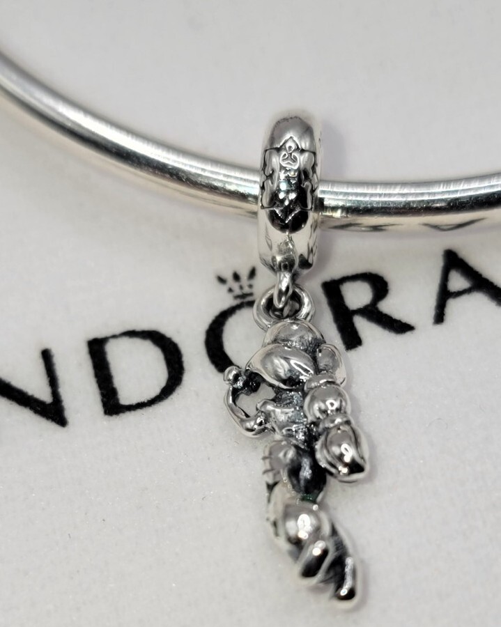 Authentic Aladdin Princess Jasmine Sterling Silver 792343C01 Charm A17 ...