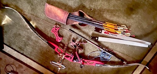 LH Olympic Kit: Riser, 2 Limb Sets, 11 Arrows, Stabilizer, Sight ...