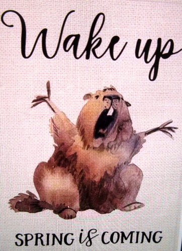 GARDEN FLAG~12" x 18"~WAKE -UP ~SPRING IS COMING ~ Double Sided ...