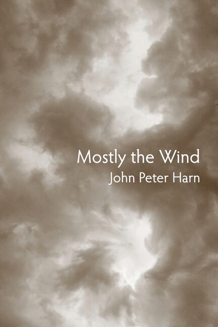 Mostly the Wind by John Peter Harn (2022, Trade Paperback) for sale ...