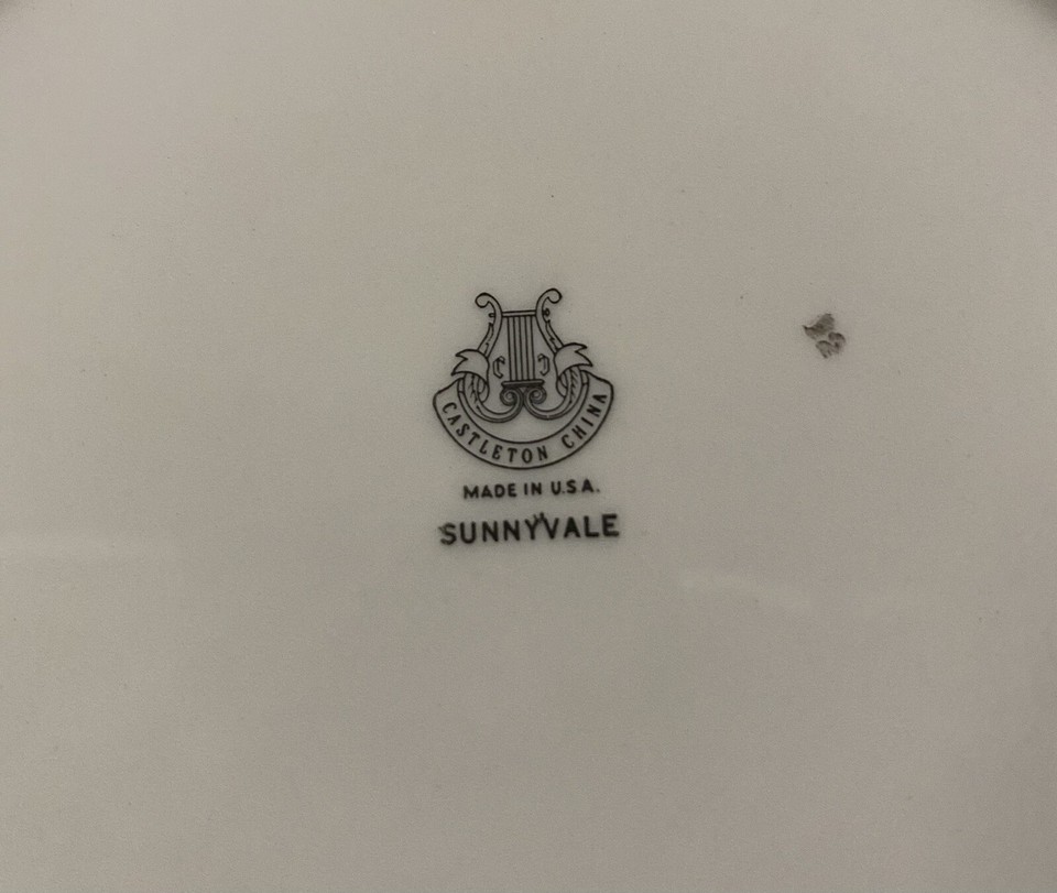 Castleton (USA) Sunnyvale Vintage 6 3/8” Bread & Butter Plate | eBay