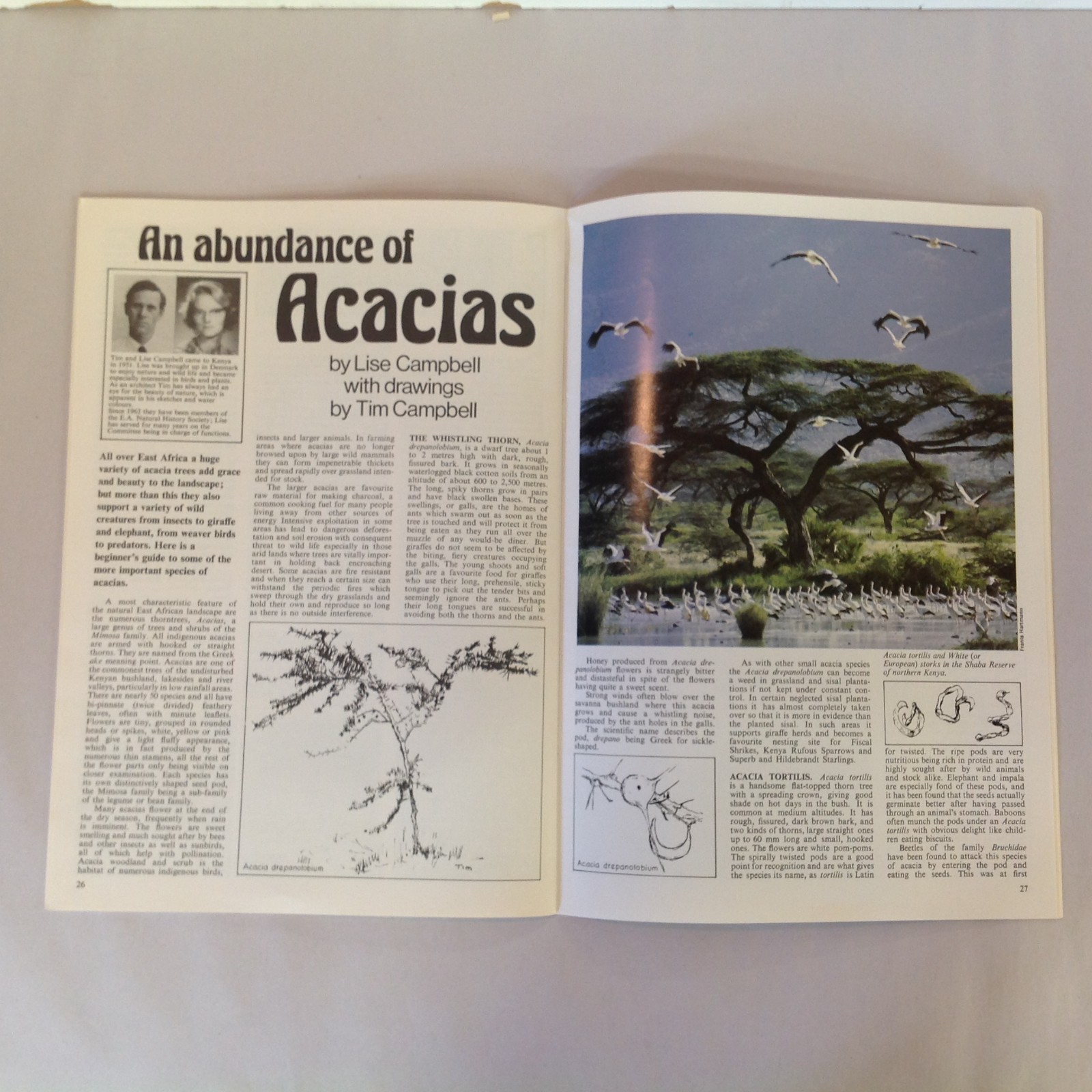 Vtg Jan-Feb 1981 Swara East African Wildlife Society Magazine Block ...
