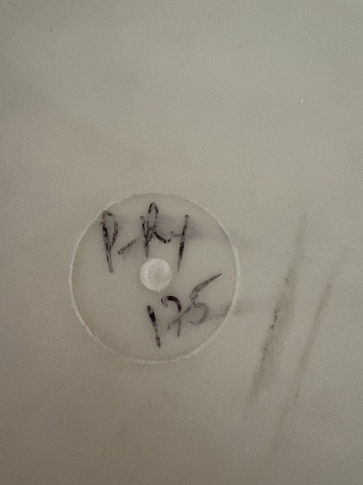 Innova Pro Rhyno Ontario 175g PFN Pat# No Ink 9/10 | eBay