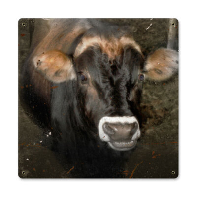 Vintage Style Metal Sign Cow Face 12 x 12 | eBay