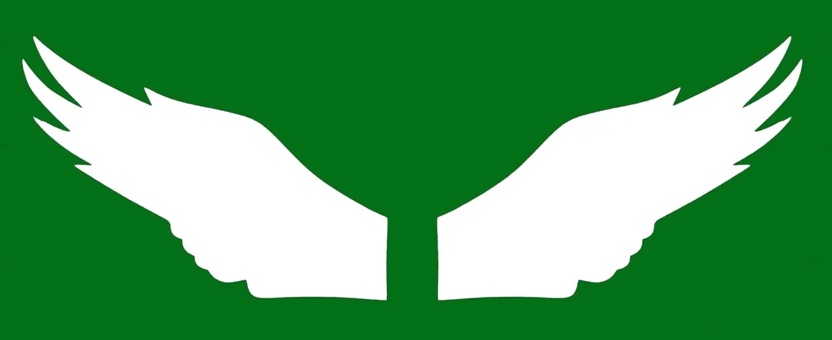 Eagle Wing Helmet Logos