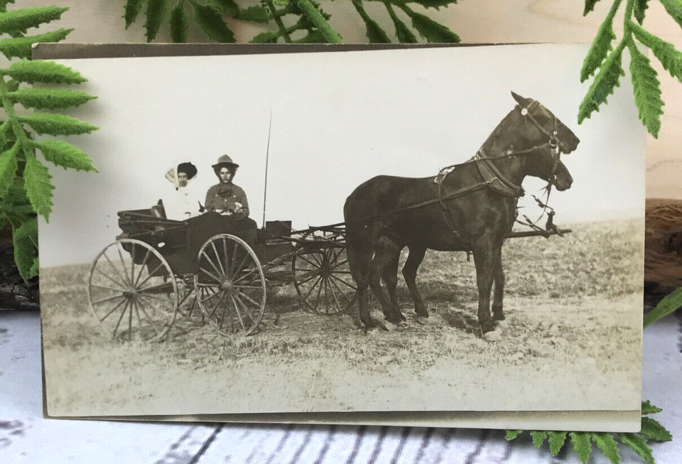Antique Vtg RPPC Horse Buggy Edwardian Photo Shop Humor Funny Cross ...
