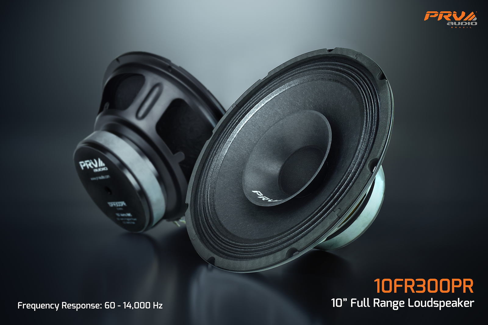 2x PRV Audio 10FR300 Full Range 10" Loudspeakers 8 Ohms PRO 600 Watts ...