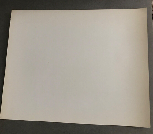 1969 Charles Shultz Charlie Brown, Snoopy, Linus Lucy Cartoon LE ...