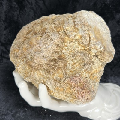 6” Unopened Large Geode Rattler Crystal Quartz Uncut Crack Break Your ...