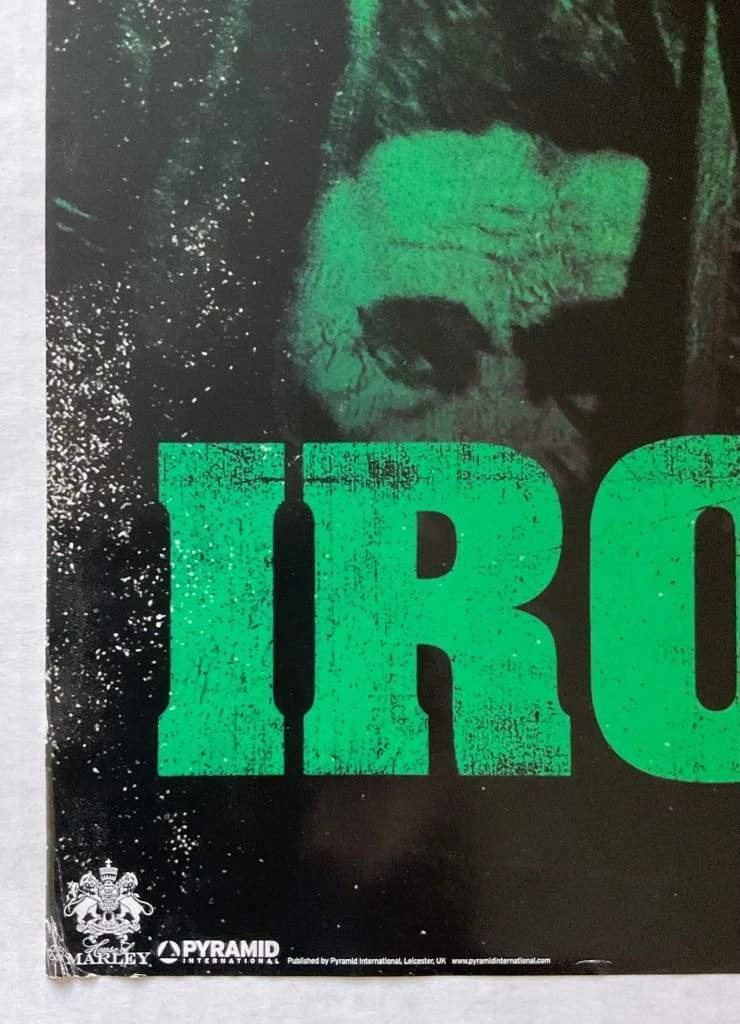 Bob Marley Lion Head Poster