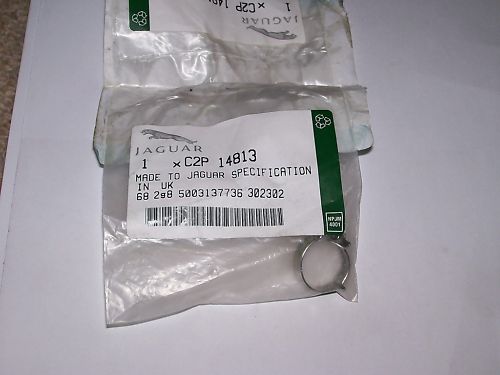 Jaguar Various Models Hose Clamp C2P14813 for sale online | eBay