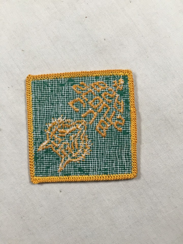 1950's Cub Scout Pack Assistant Cubmaster twill gauze back BSA Rank ...