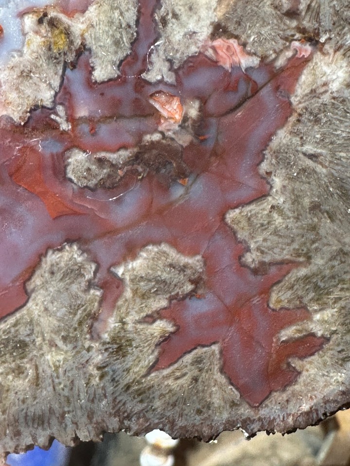 Agatized Utah Barite **hxtled nodule split. | eBay