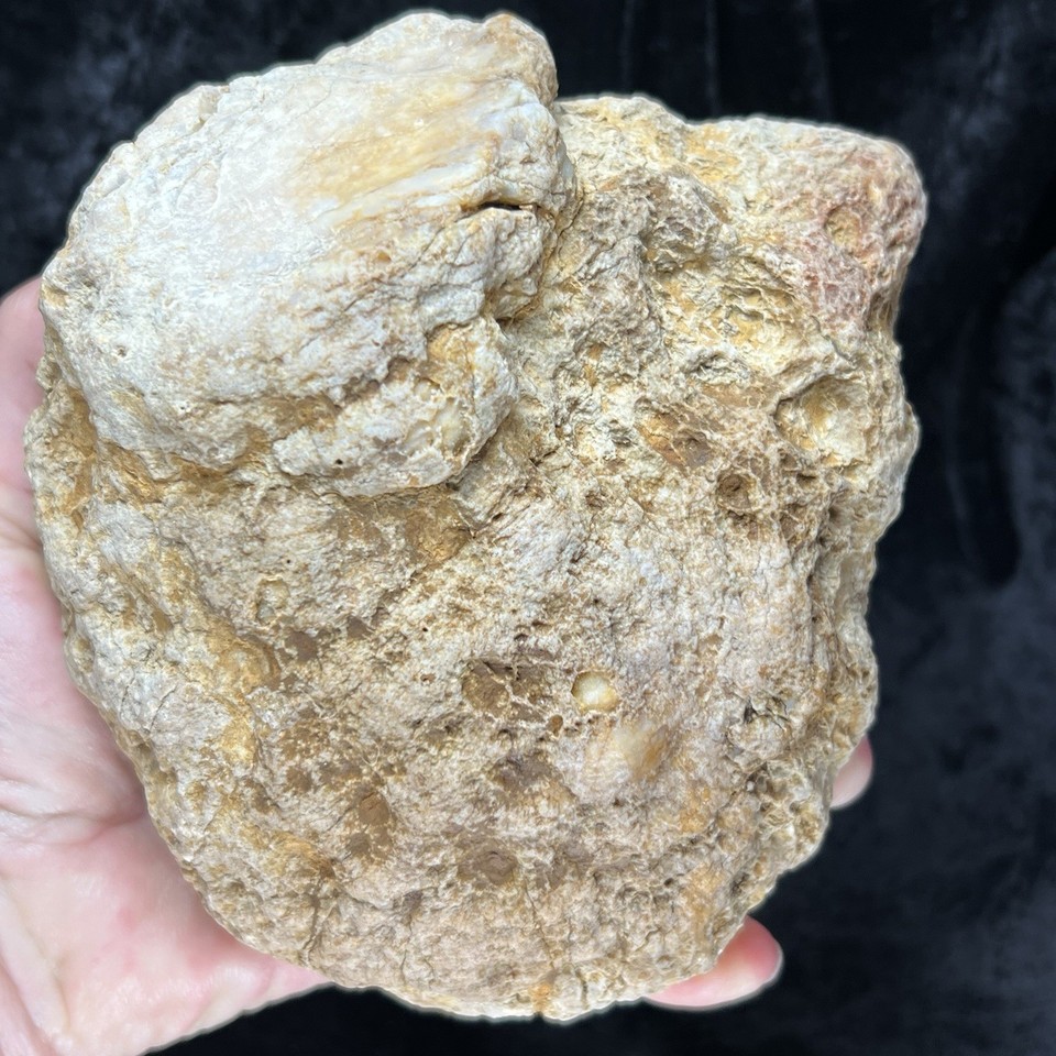 6” Unopened Large Geode Rattler Crystal Quartz Uncut Crack Break Your ...