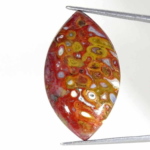 25.40Cts Naturel Rouge Palmier Racine Agate Cabochon Marquise Desseré ...