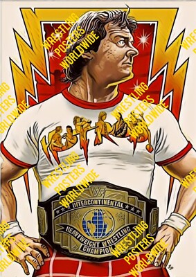 #301 MAKE YOUR SELECTION WWF WWE ROWDY RODDY PIPER A4 A3 A2 230GSM ...