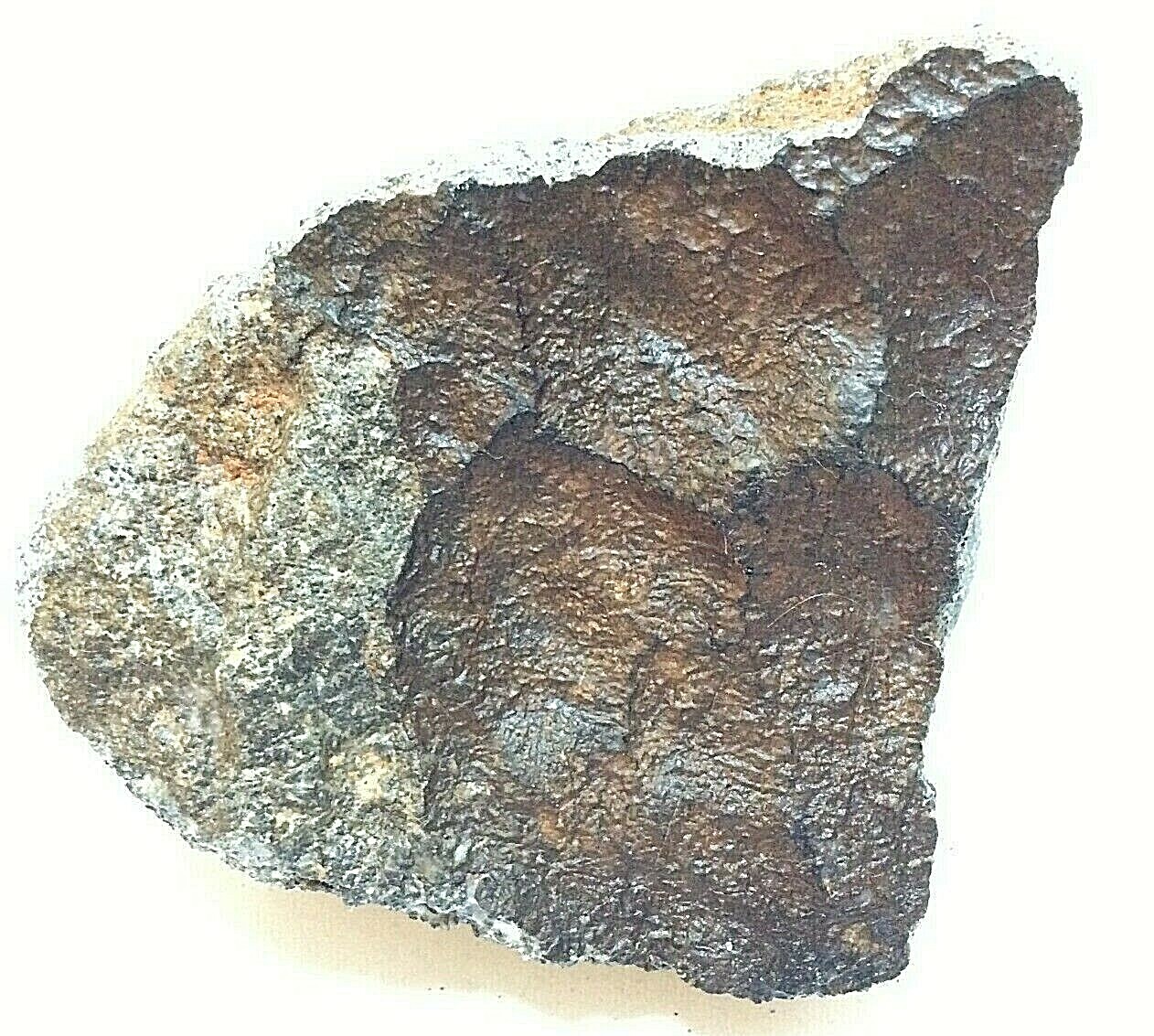Classified Achondrite meteorite NWA 12513 fresh monomict gabbroic ...