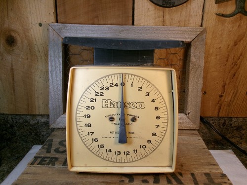 Vintage Hanson Utility Scale 4040-4 Capacity 25 lbs | eBay