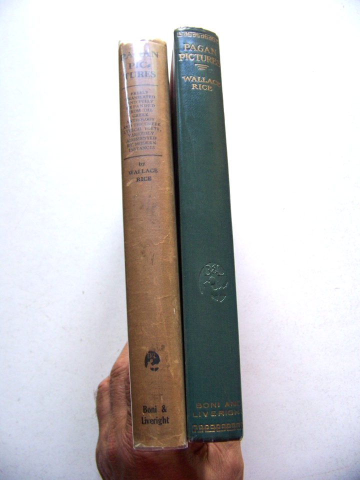 1927 Ltd. Edition PAGAN PICTURES By WALLACE RICE w/SCARCE DUST JACKET ...