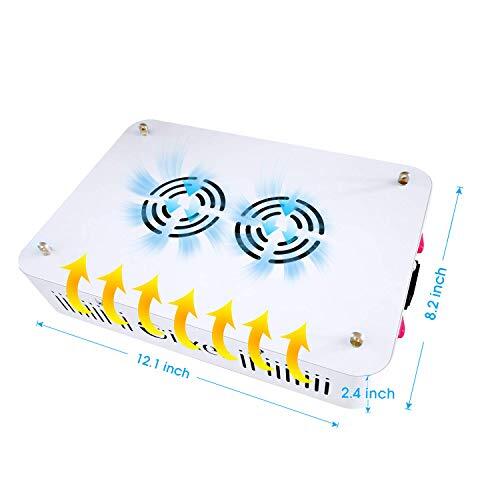 1000W LED Grow Light, Dual Switch & Dual Chips Full Spectrum LED Grow ...