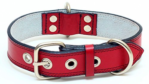 Premium Leather Collars with Stainless Steel Buckles 21"-24" Red | eBay