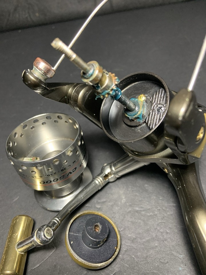 PENN Captiva CV 5000 11-Bearing Spinning Reel Gear Ratio- 5.2:1 ...