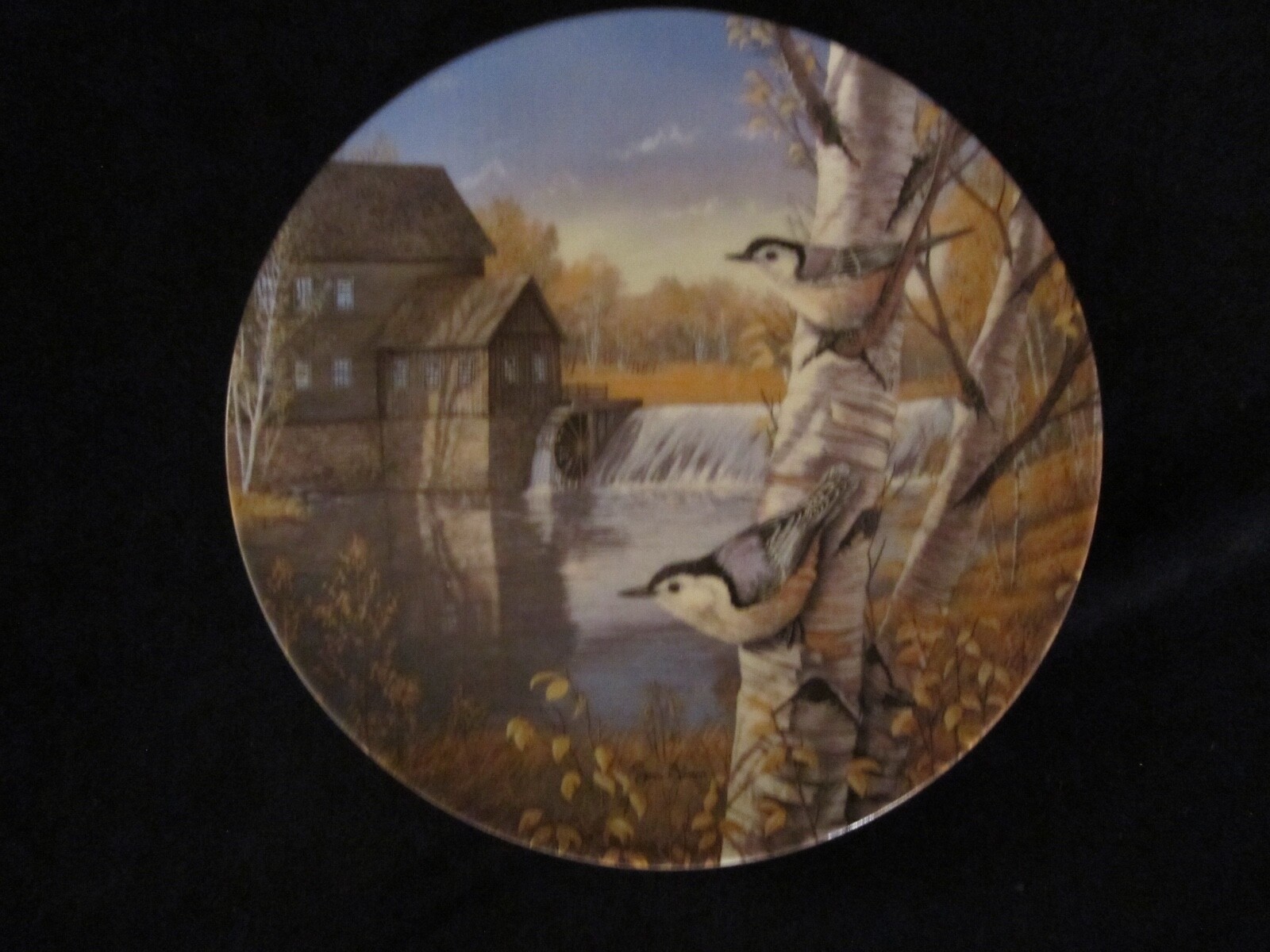 Nuthatches in Fall collector plate SAM TIMM Birds of Season NUTHATCH ...