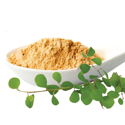 Spinous Fluggea Powder | Organic Katupila | leucopyrus Diabetic ...