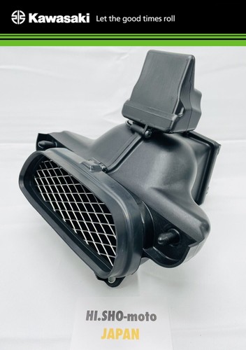 2003-2004 Kawasaki Ninja ZX6R ZX 6R 636 Ram Air Intake Duct | 39045 ...