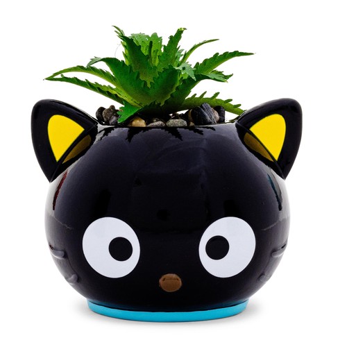 Sanrio Chococat 3-Inch Ceramic Mini Planter With Artificial Succulent ...