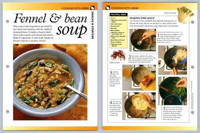 Fennel & Bean Soup - Cooking - Secret World Of Herbs Fact File Card | eBay