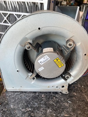 Fans & Blowers - Carrier Motor
