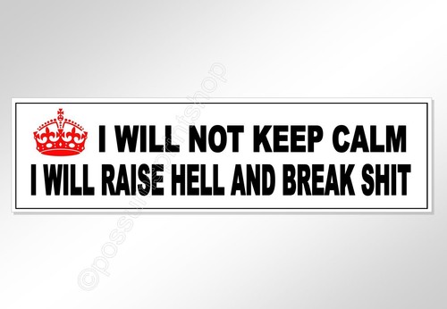 funny car bumper sticker Not keep calm raise hell break shit 200 mm ...