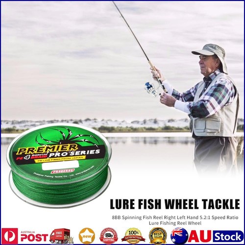 4 Strands 100m Super Strong Braided Fishing Line PE Fish Rope (0.4/6LB ...